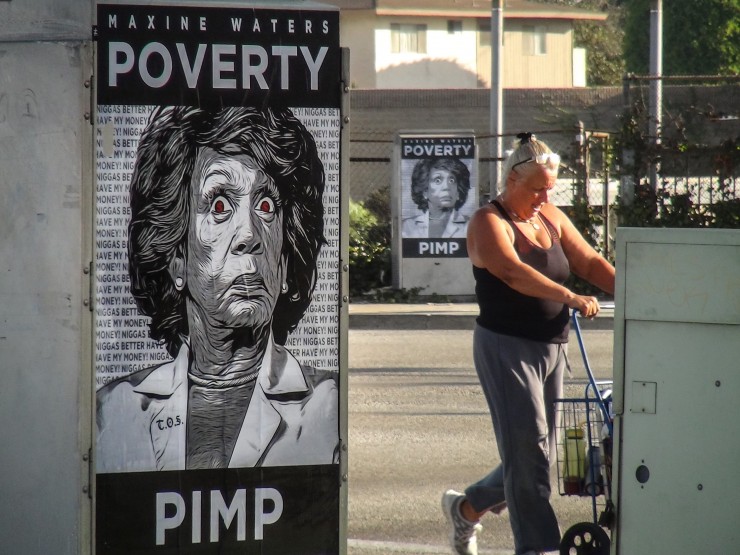 Black Activists Demand Investigation Into Maxine Waters Posters That ...