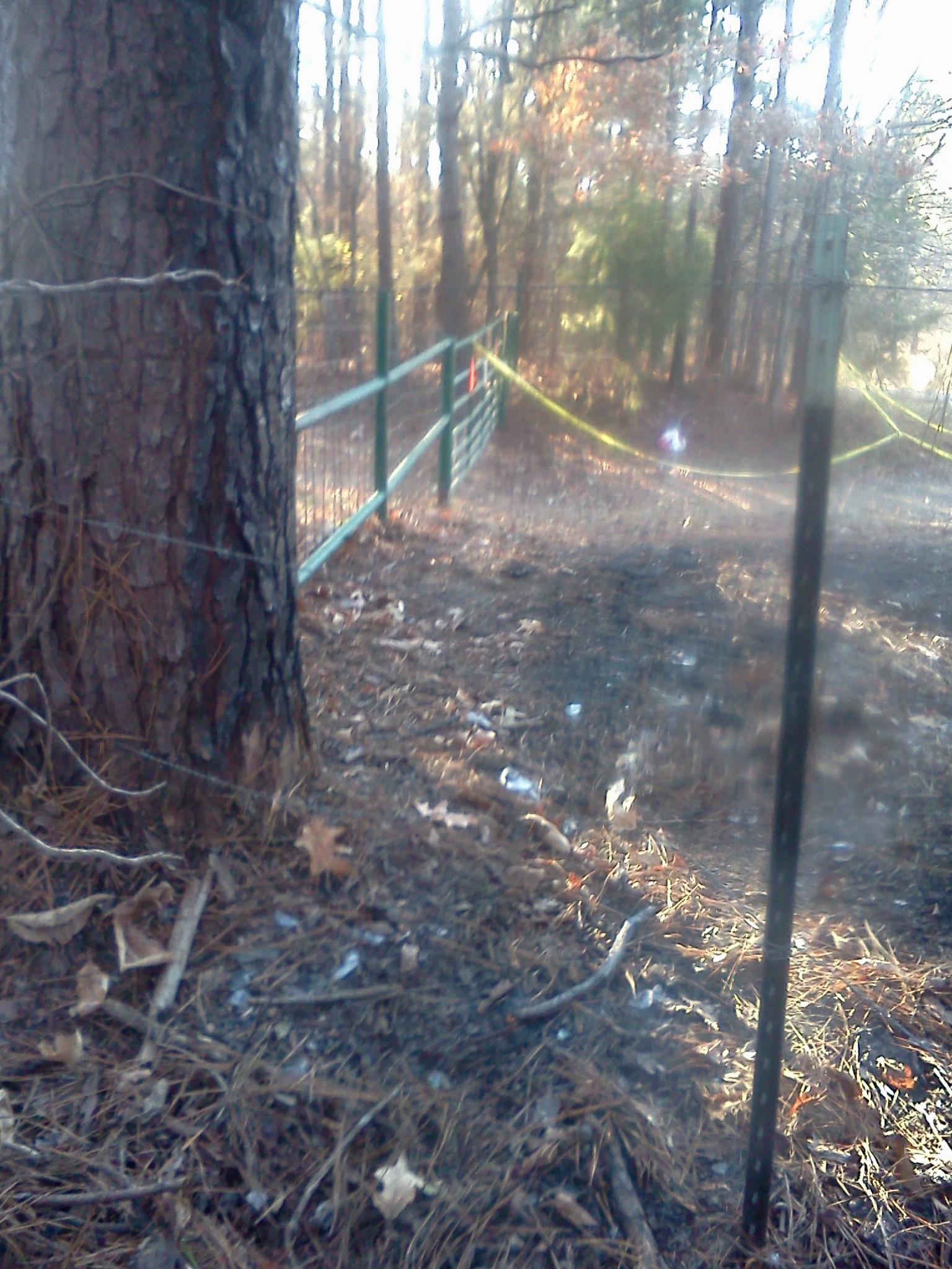 Jessica Lane Chambers - Crime Scene Prior To FBI Arrival - The Last Refuge