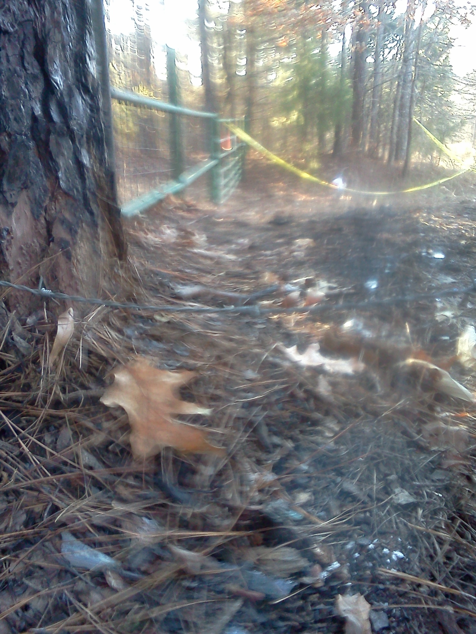 Jessica Lane Chambers - Crime Scene Prior To FBI Arrival - The Last Refuge