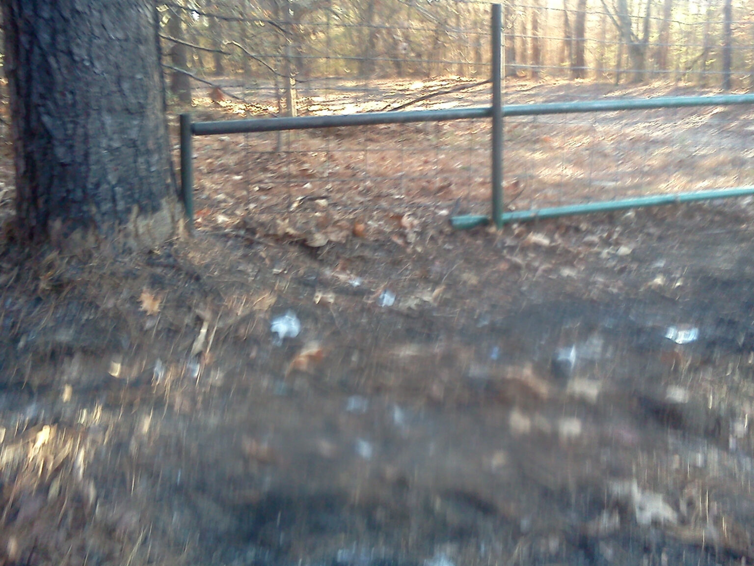Jessica Lane Chambers - Crime Scene Prior To FBI Arrival - The Last Refuge