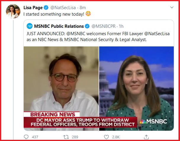 Lisa Page Starts New Political Job as MSNBC Analyst... - The Last Refuge
